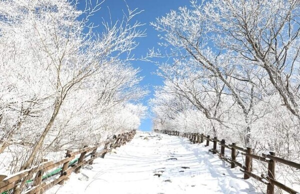 지리산 노고단 설경