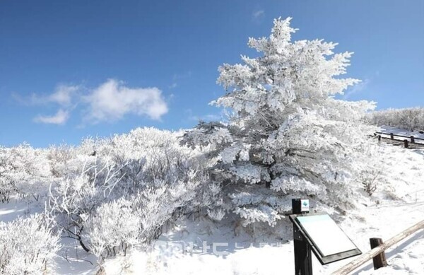 지리산 노고단 설경
